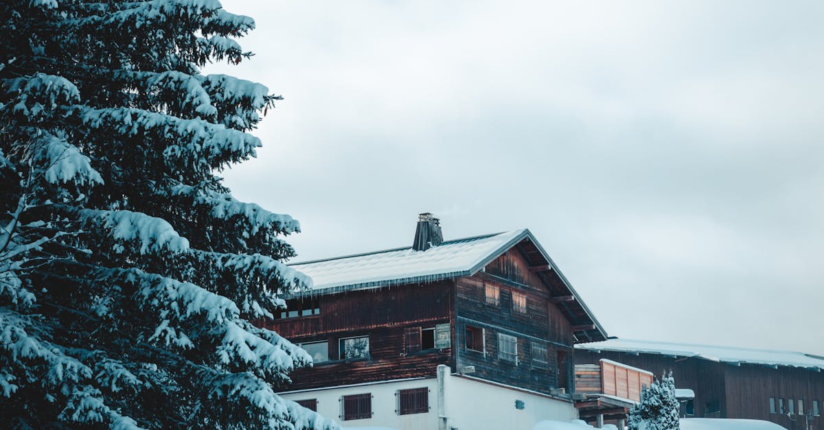 How to embed PDF in WordPress: 13 Expert Answers for Success