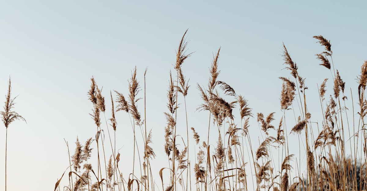How to change the copyright footer in WordPress: 13 Expert Answers for ...