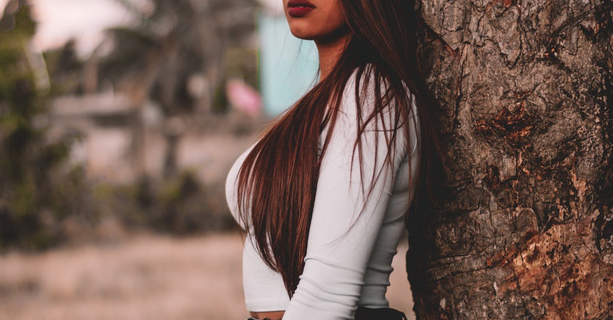 Top Wordpress Form Plugins 13 Amazing Answers For You