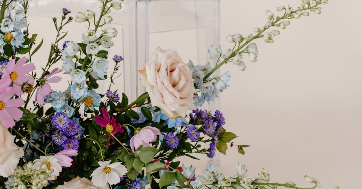 Wordpress Theme Installation 13 Expert Answers For Success