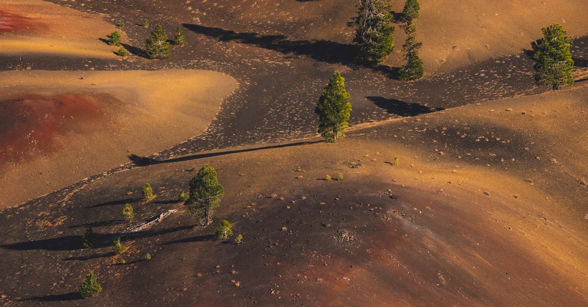 wordpress webseite erstellen lassen: 13 Expert Answers You Need